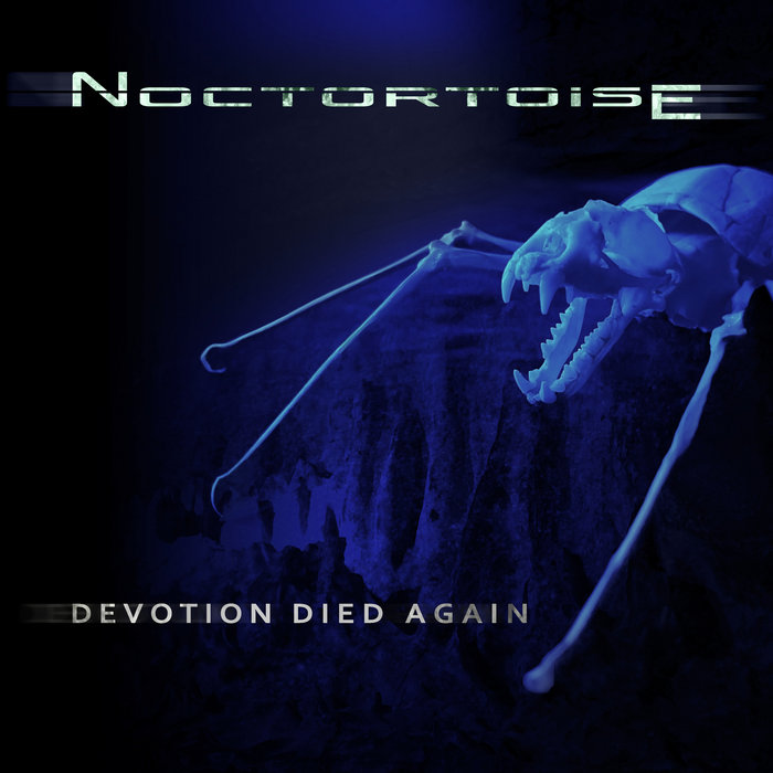 Devotion Died Again | Noctortoise