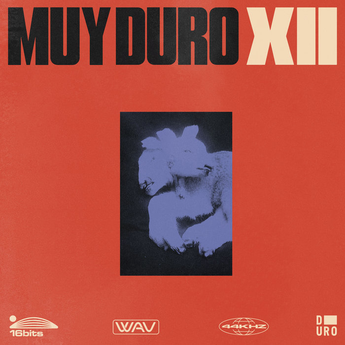Muy Duro, Vol. 12 | Yotam Russo, Rina, Julyjuli, Theus Mago, Dominik ...