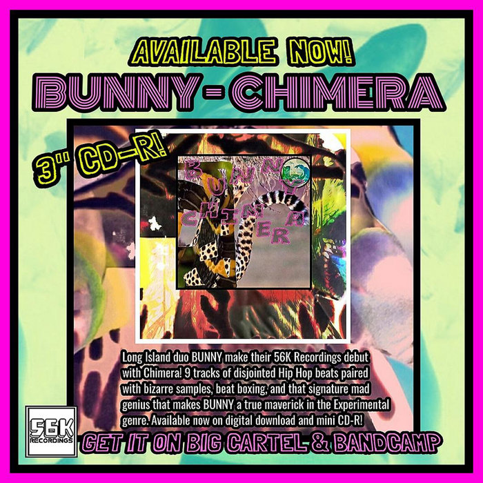 BUNNY - CHIMERA | BUNNY | Funeral For My Pet Rock