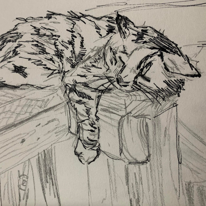 Eucalyptus EP | Sunnets