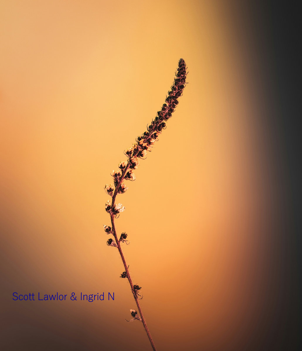 Eloheh | Scott Lawlor & Ingrid N | Scott Lawlor