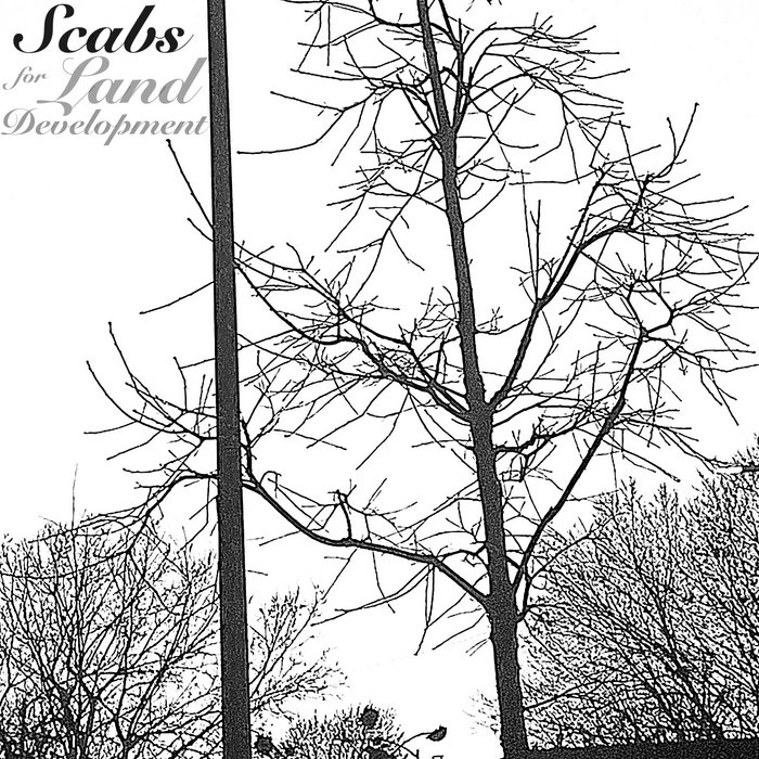 scabs (for land development) | nobodyis | Next Year's Snow