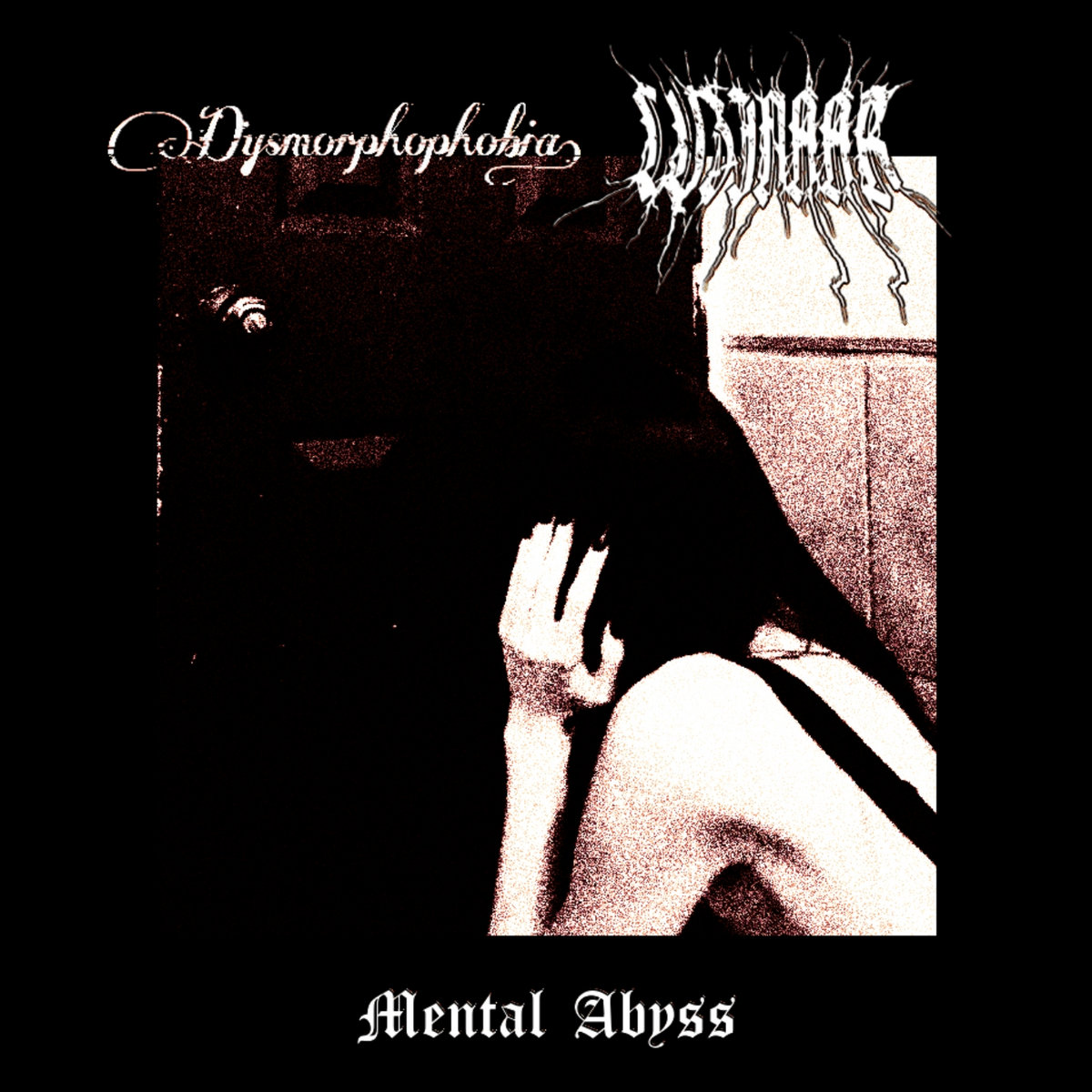 Mental Abyss (Dysmorphophobia split) | LUZINAAR & Dysmorphophobia ...
