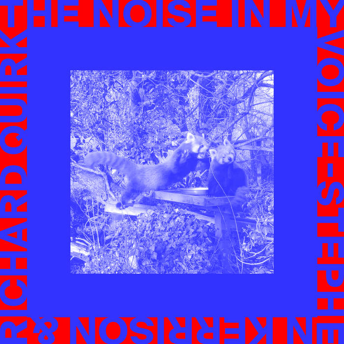 The Noise In My Voice | Stephen Kerrison & Richard Quirk | Stephen Kerrison