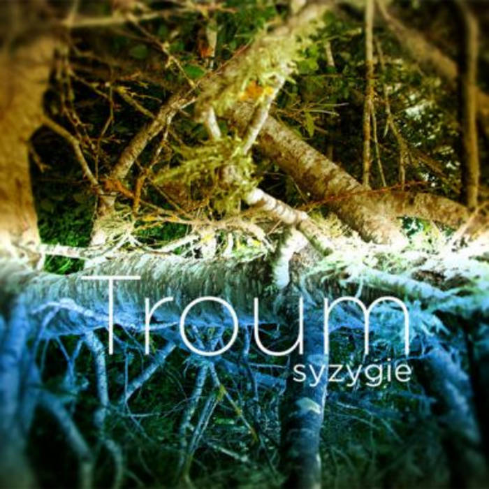 Syzygie (CD, 2013) | TROUM