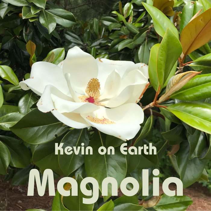 Magnolia | Kevin On Earth
