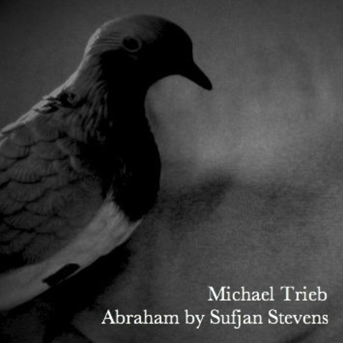 Abraham (Sufjan Stevens Cover) | Michael Trieb