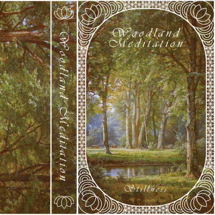 Stillness | Woodland Meditation