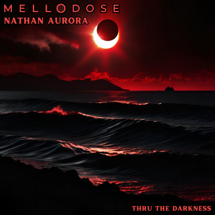 Thru the Darkness (with Nathan Aurora) | Mellodose