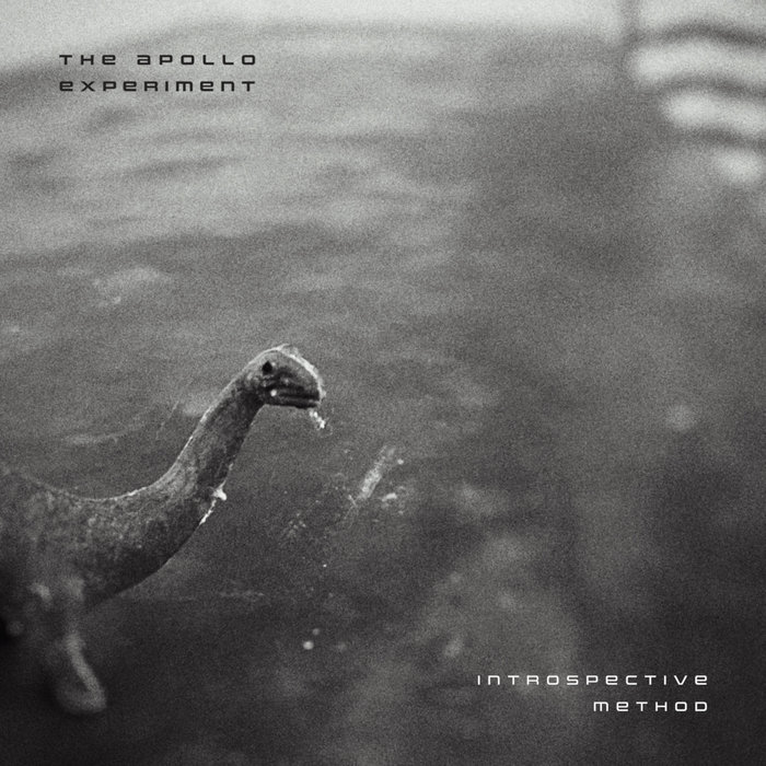 Introspective Method | The Apollo Experiment