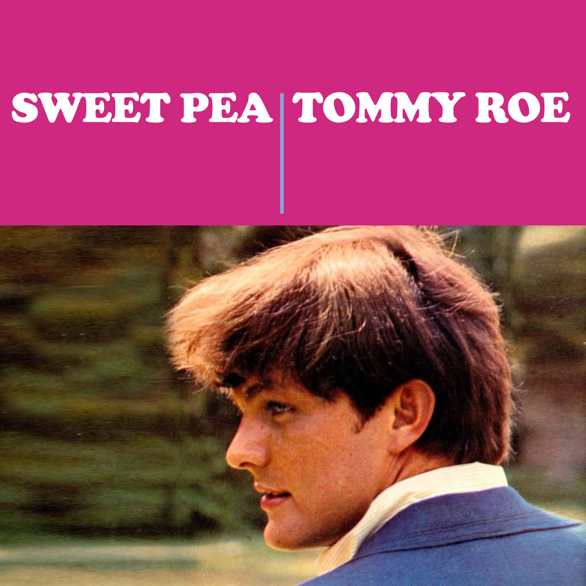 Sweet Pea | Tommy Roe