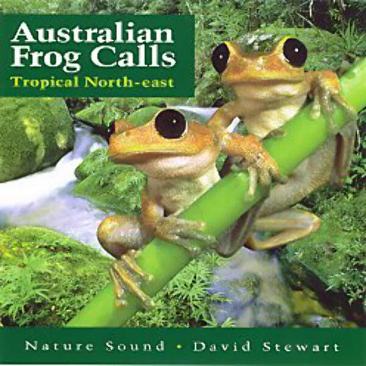 Australian Frog Calls - Tropical North-east | Frog Chorus Records