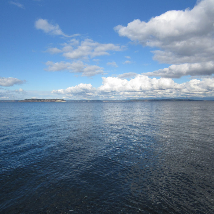 Edgewater Beach Park (02-22-2024) | FKF