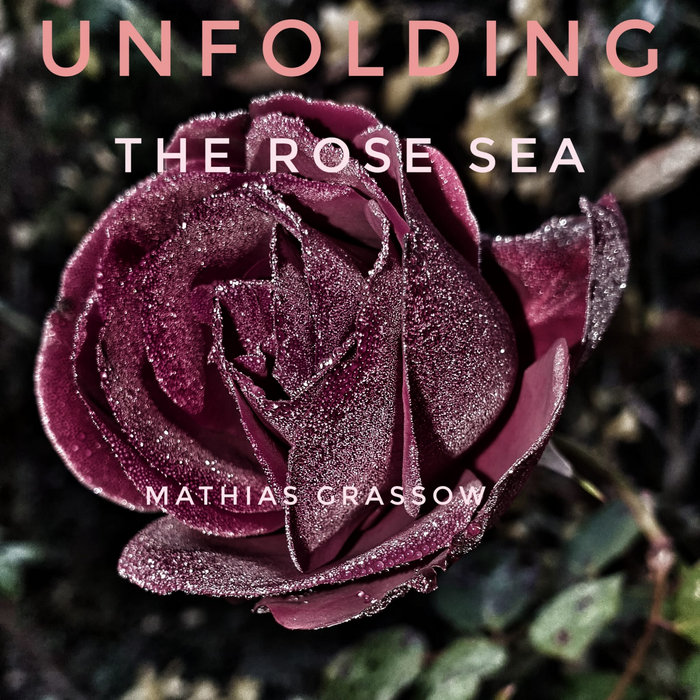 (2021) Unfolding the Rose Sea | Mathias Grassow