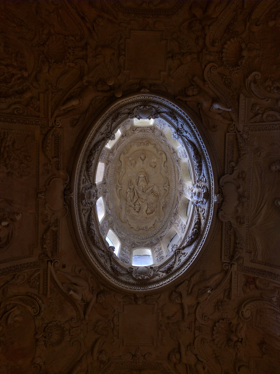 Organ Texture | Al Ceschi