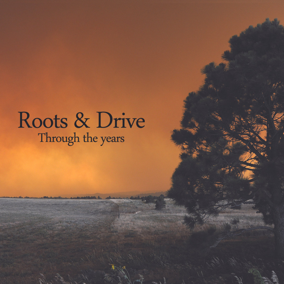 Through The Years | Roots & Drive