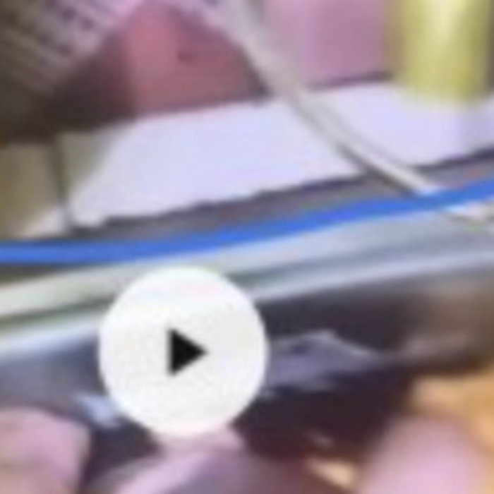 {Video Gốc} kỳ án 88 nguyễn xuân đạt 88 trang 88 trang tài liệu đoàn văn sáng vụ lạng sơn 88 ...