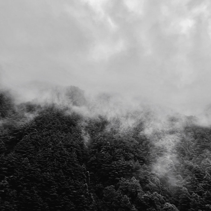 現時之光 Light From Now | Sun Dawei