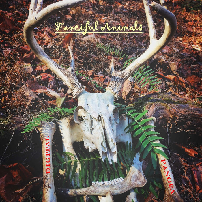 Digital Pangea | Fanciful Animals