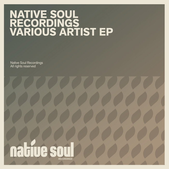 Native Soul Recordings V/A ep | Native Soul Recordings