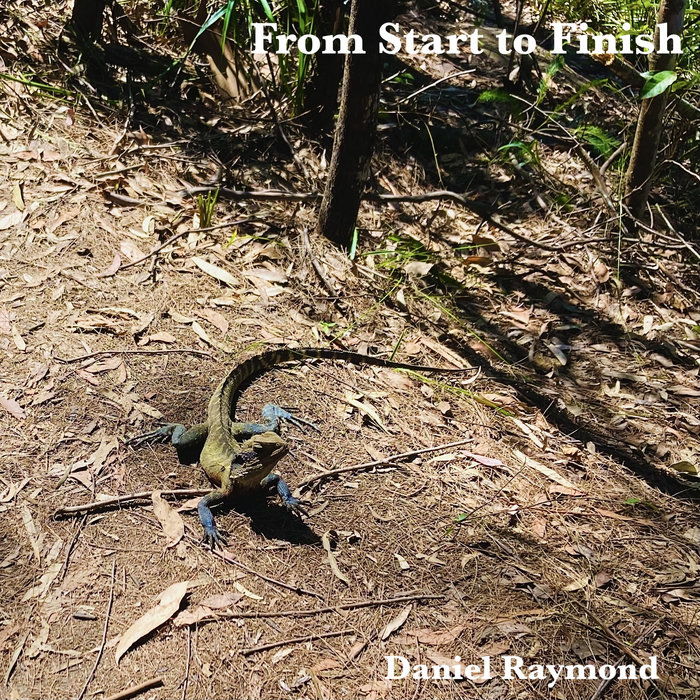 From Start to Finish | Daniel Raymond