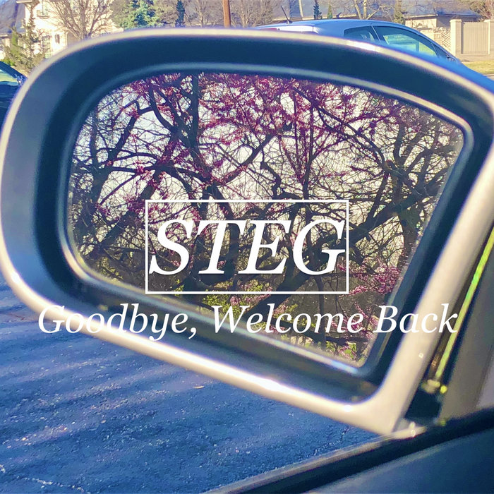 Goodbye, Welcome Back | Steg