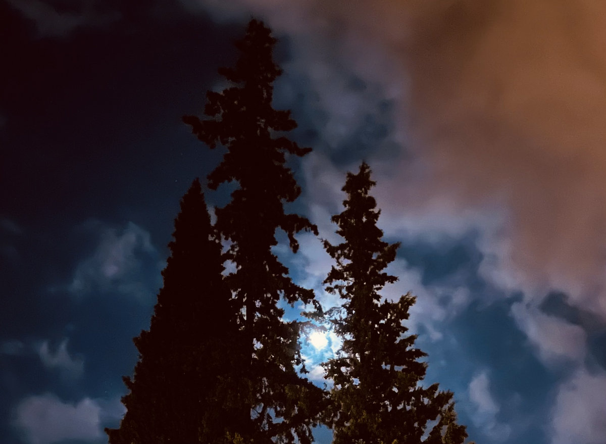 Another Moon Song | Jeremy Jericho Freer