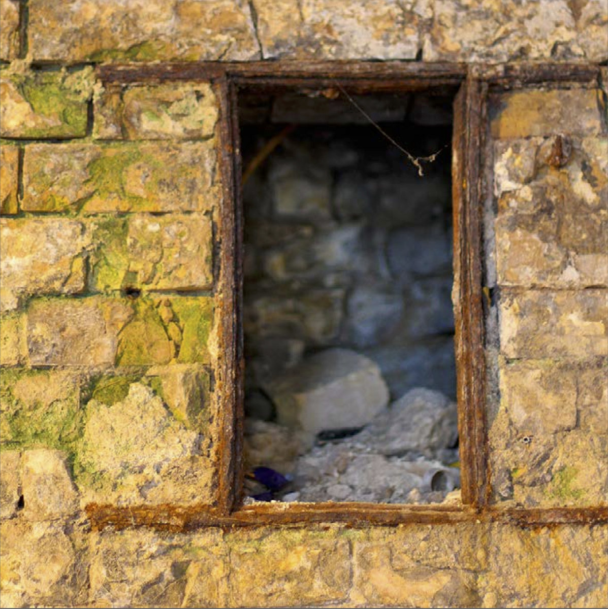 Apparitions | Matthew Sansom