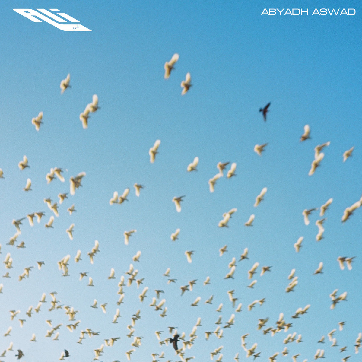 Abyadh Aswad | Ali | anukara records