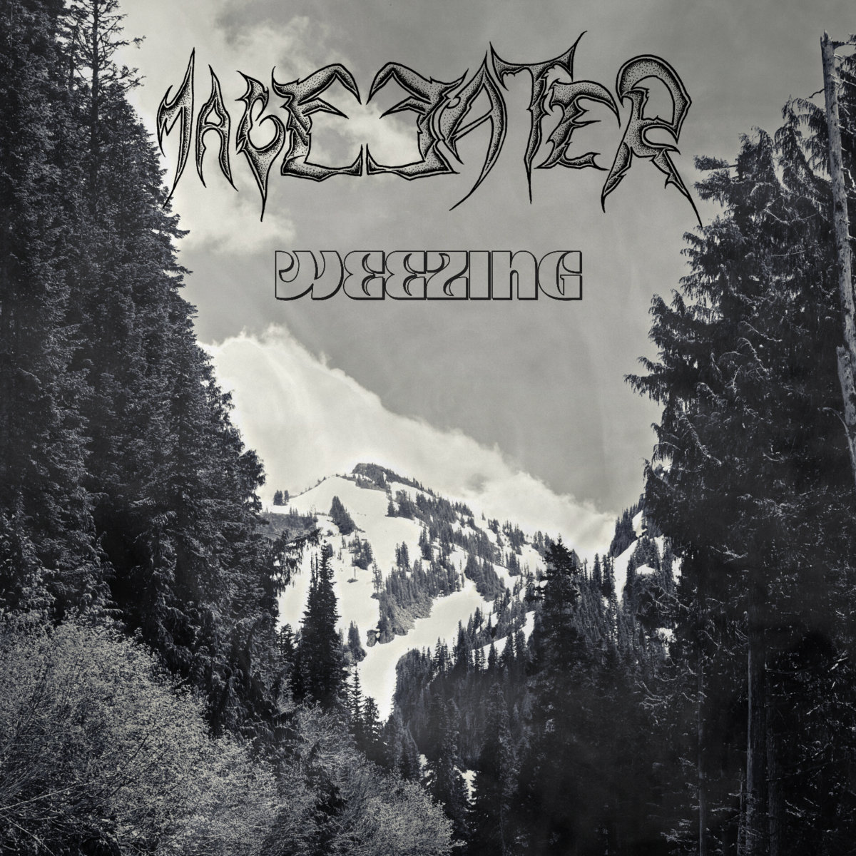 Weezing | Mage Eater