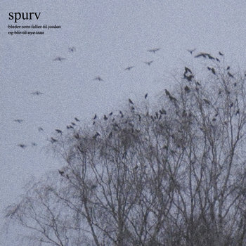 Music | Spurv