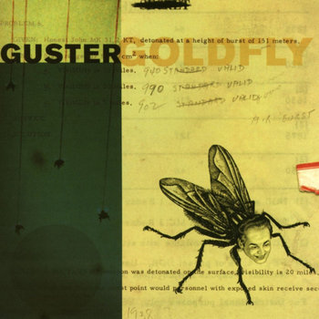 Music | Guster