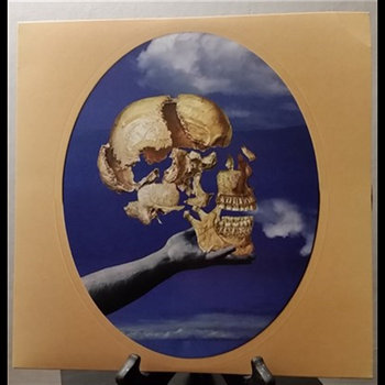 Skull Flower | Sun Angle