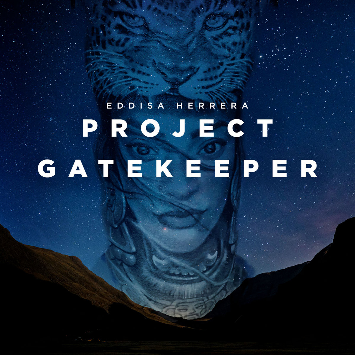 Project Gatekeeper | Eddisa Herrera | Chicago House Vandalz