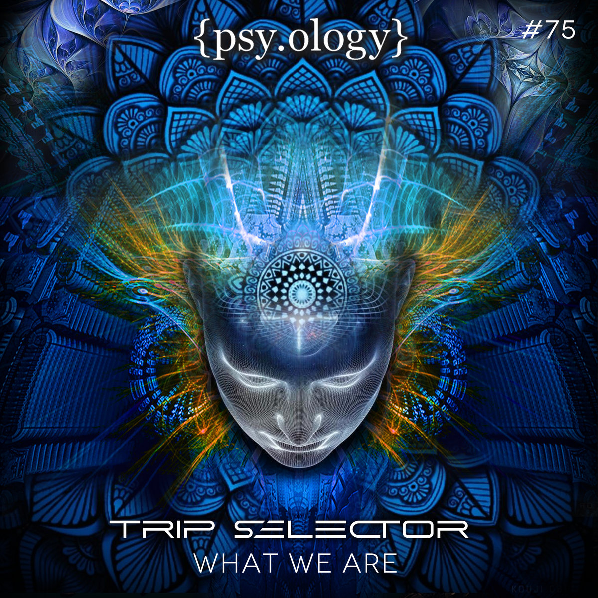 What We Are | Trip Selector (Psyology Records) | Psyology Records