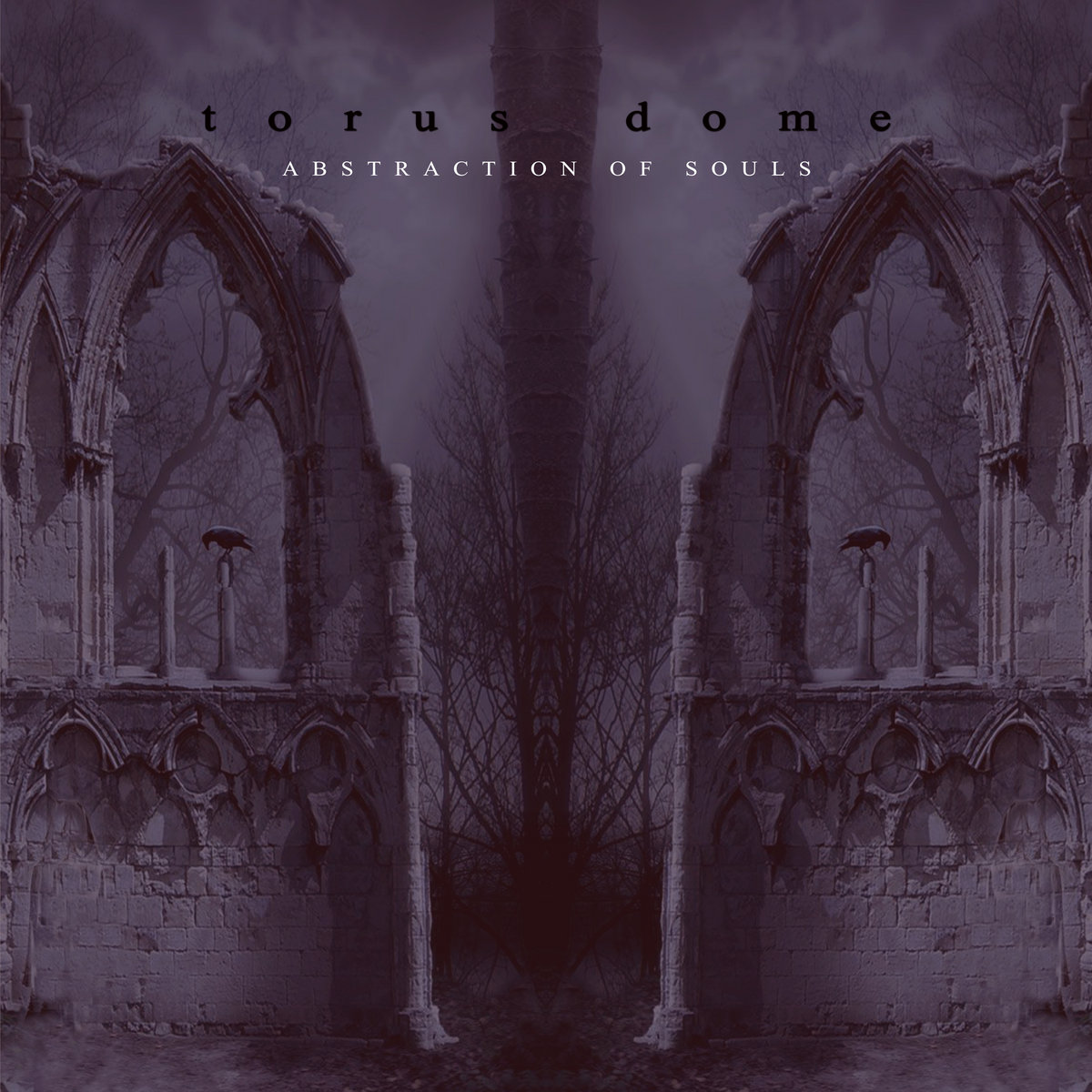 Abstraction of Souls | Torus Dome | thorusdome