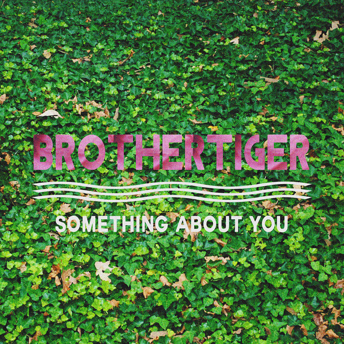 Something About You (Cover) | Brothertiger