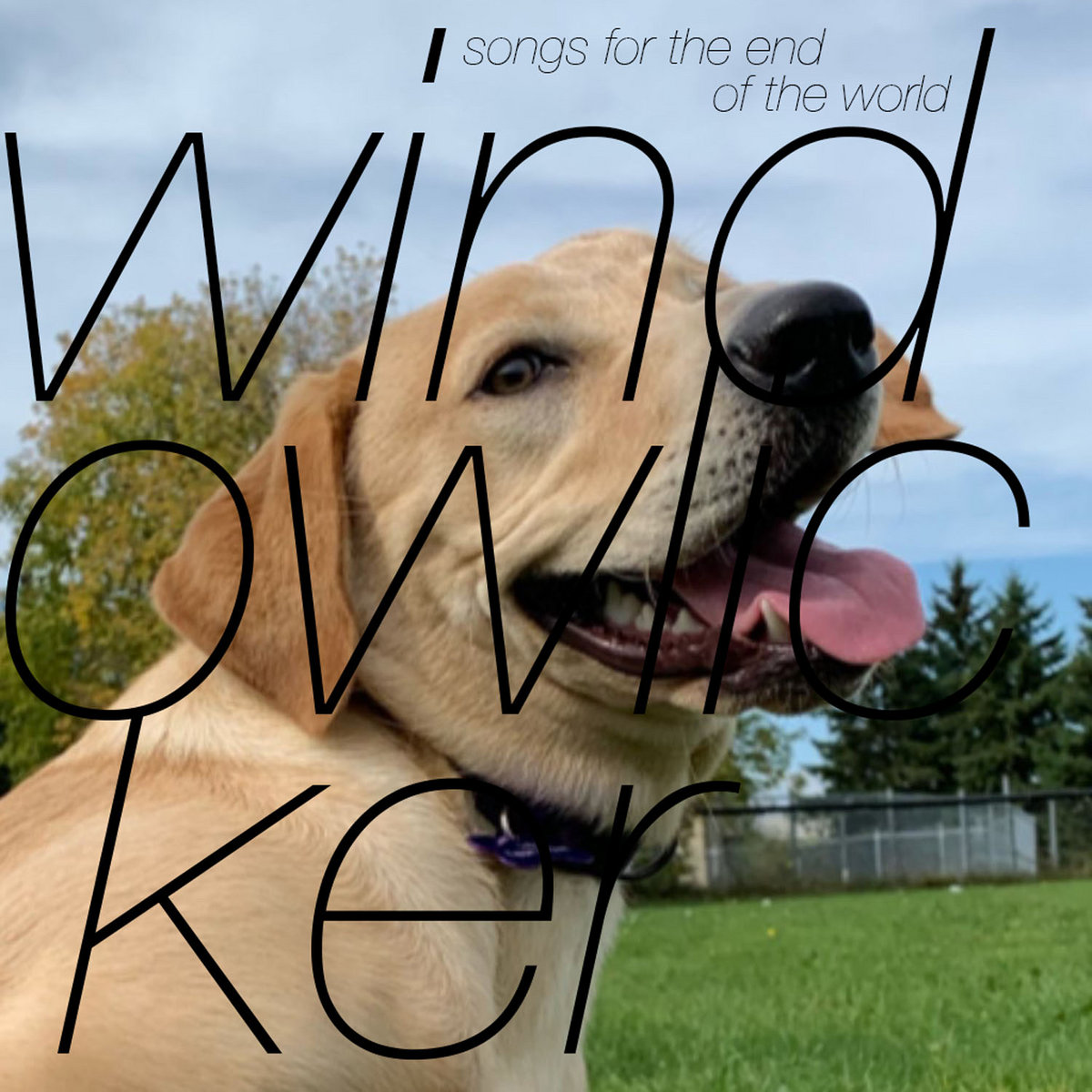 songs for the end of the world | windowlicker