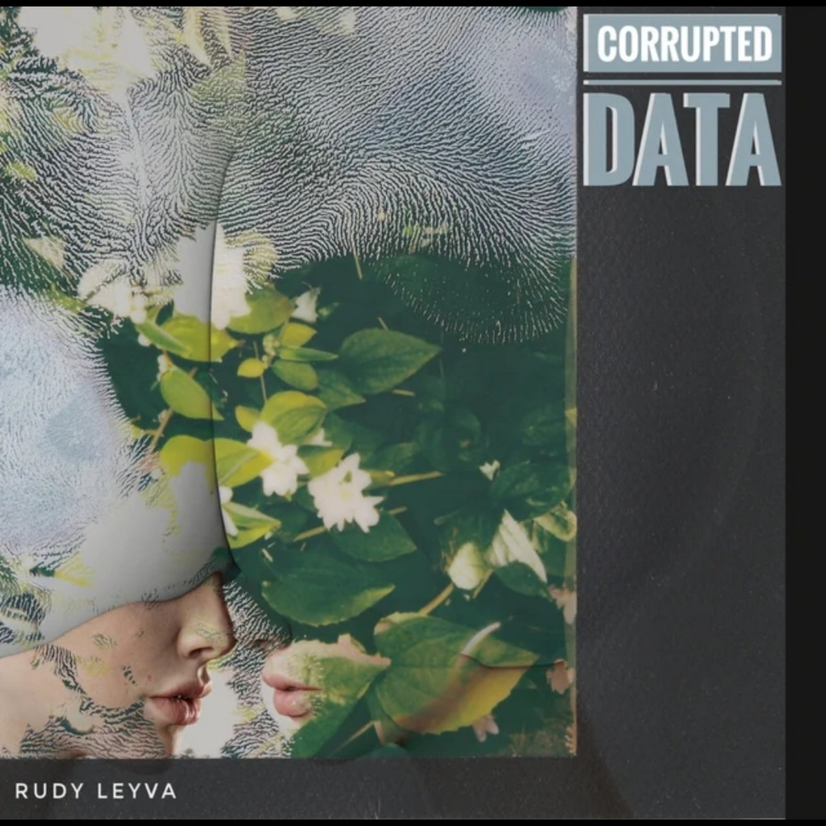 CORRUPTED DATA | Rudy Leyva