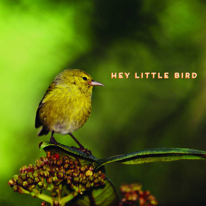 Hey Little Bird | Hey Little Bird | Quarrymen Records