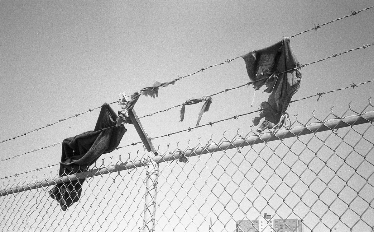 Scum Scraper EP | King Rat & The Rain Drops