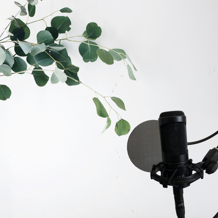 30 Free Ambient Vocal Samples | Toy Box