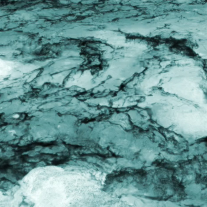 Is It a Dream? | The Ripoff Hippies