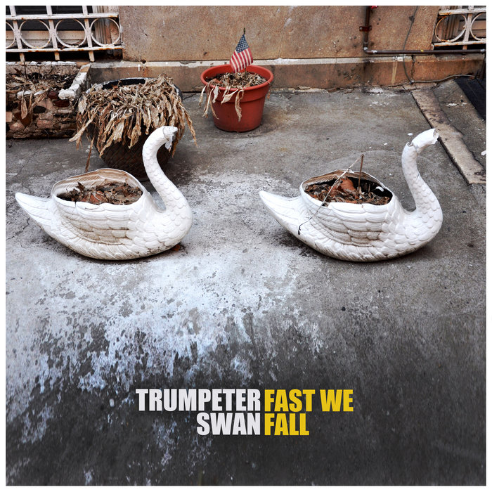 Fast We Fall | Trumpeter Swan