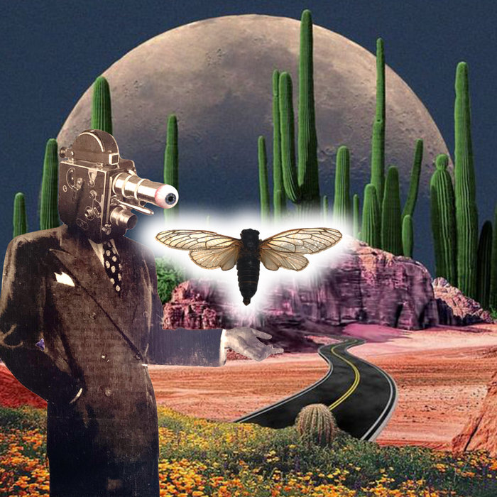 17 Year Cicada | Air is Human