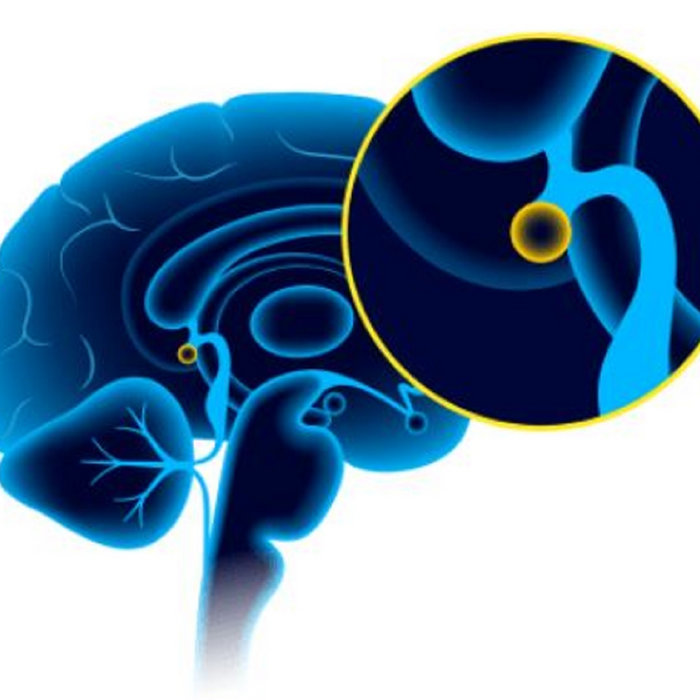 Quantum Attraction Code: Unlocking the Secrets of Magnetic Charm ...