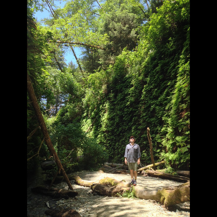 Albion Way | Hush Arbors | Was Ist Das?