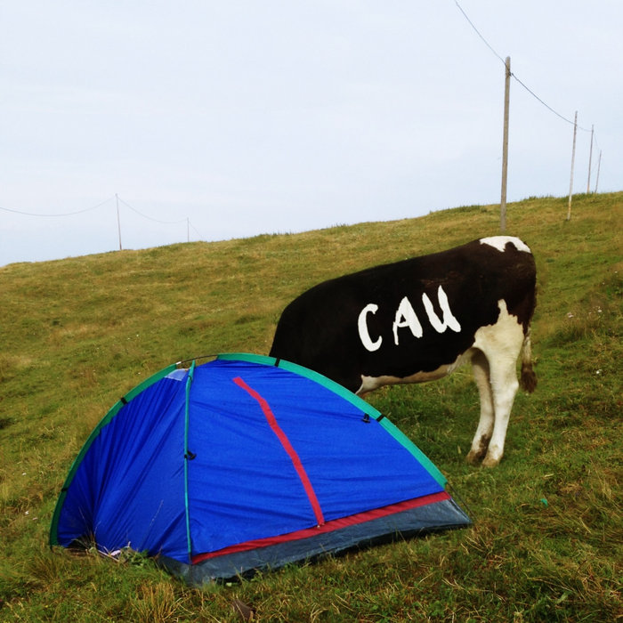 Cau | CAU