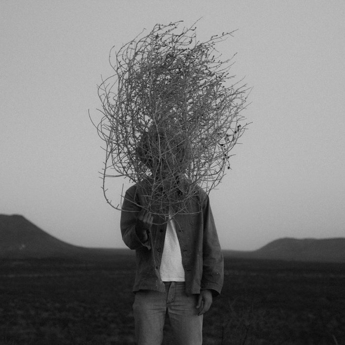 Blue Eyes | Scott Ballew