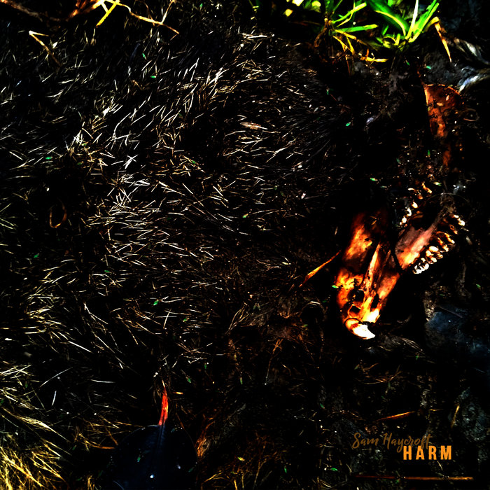 HARM | SAM HAYCROFT | Sam Haycroft